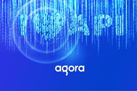 Veille Technologique : Agora.io