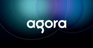 Veille Technologique : Agora.io